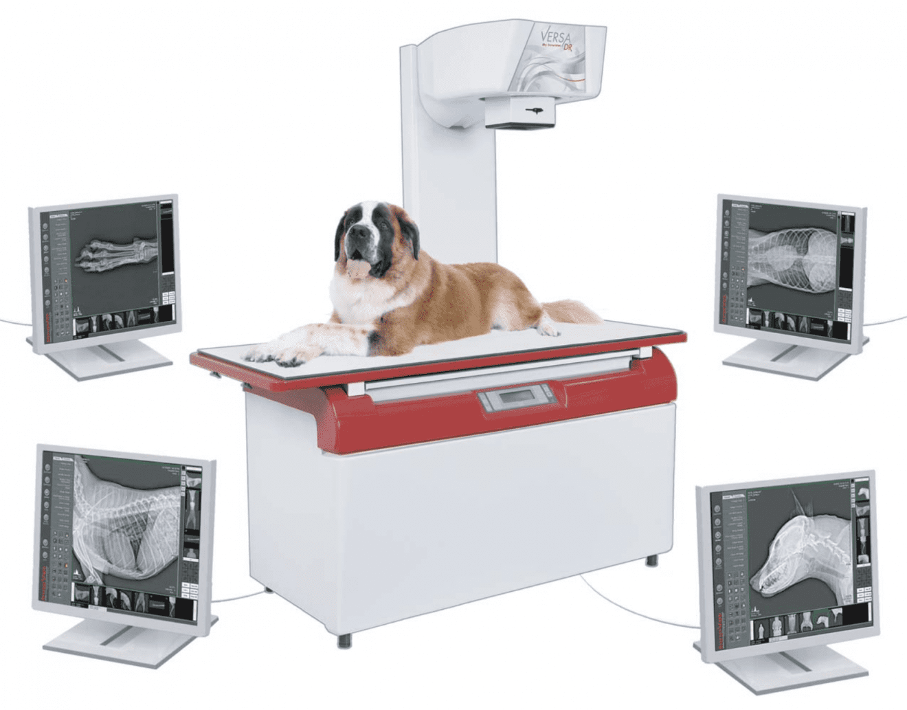 InnoVet X-Ray | Summit Industries Veterinary Manufacturer